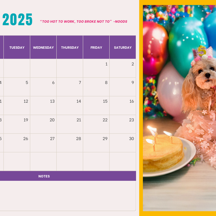 Products – noodlesthepooch