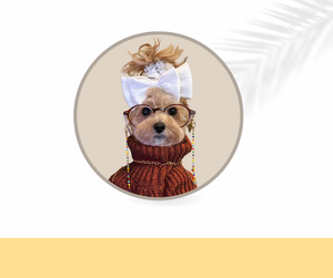 Noodlesthepooch – noodlesthepooch