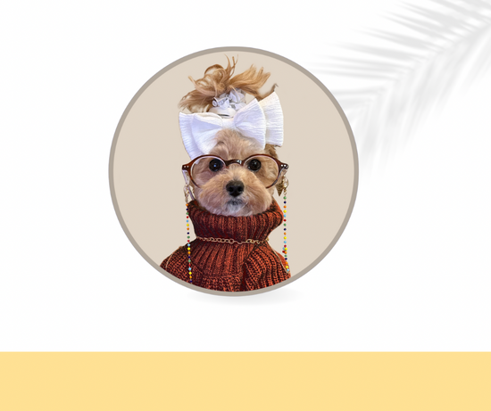 Noodlesthepooch – noodlesthepooch