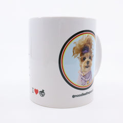 Noodlesthepooch – noodlesthepooch