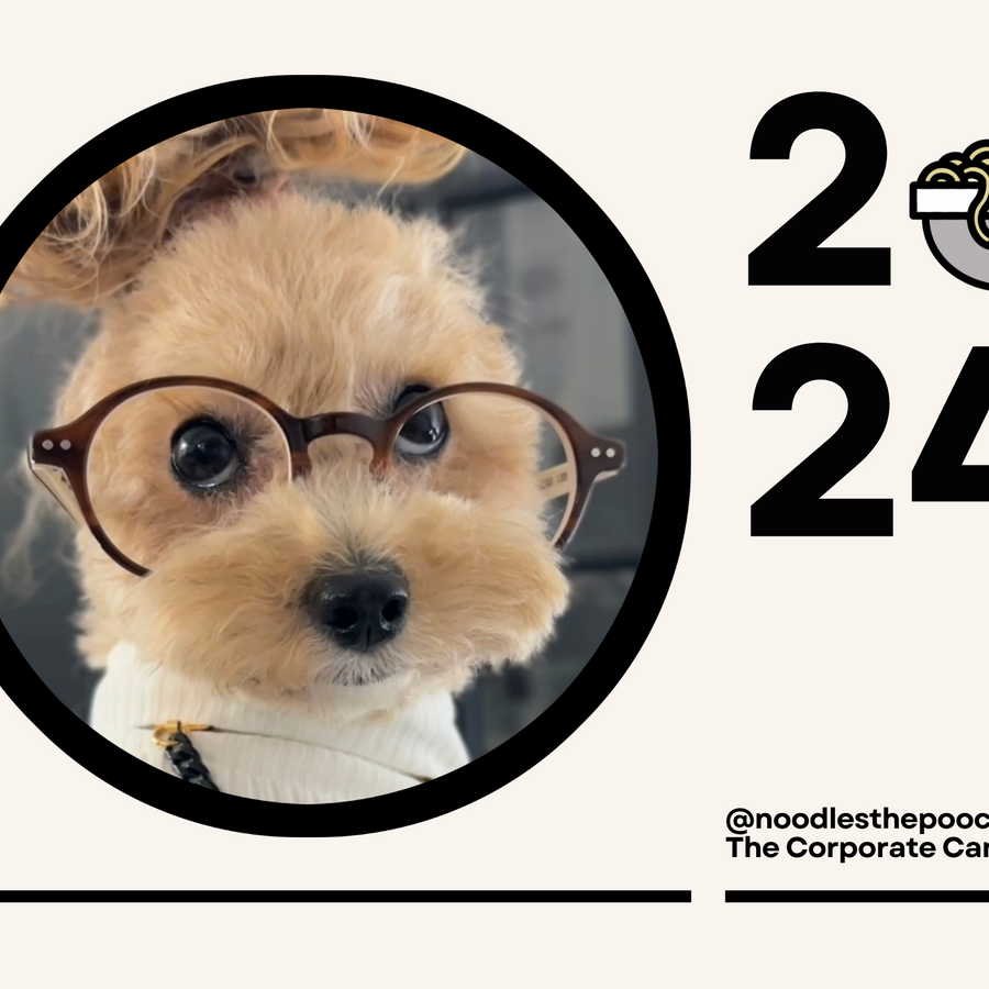 Collections – noodlesthepooch