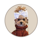 Products – noodlesthepooch